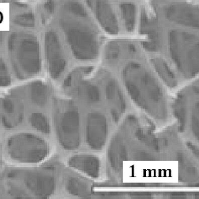 Image result for Simplex System Anodes