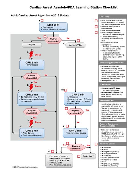 Image result for Coached Algorithm