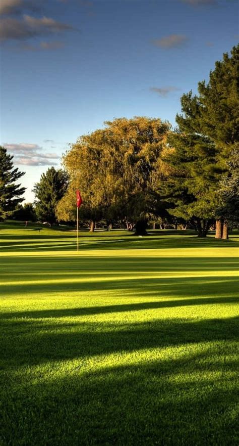 Image result for Golf Course Background Images