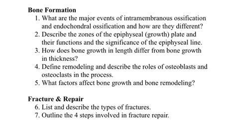 Image result for Major Events of Bone Formation