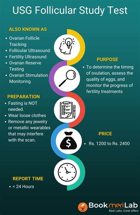 Image result for Follicular Study Scan