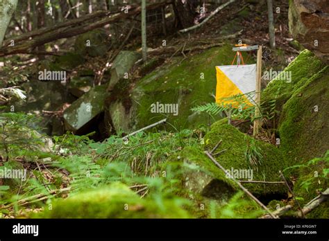 Image result for Manual Control Point Symbol