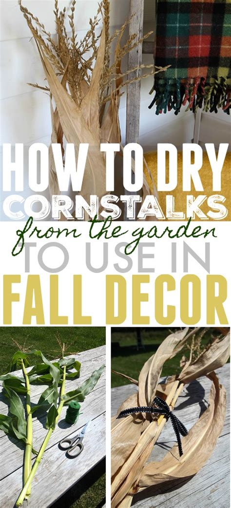 Image result for How to Display Corn Stalks