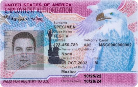 Image result for Entry Permit USCIS
