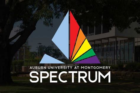 Image result for Spectrum Um