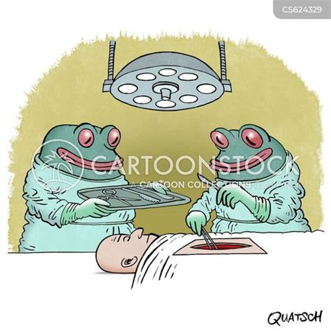 Image result for Dissection Cartoon