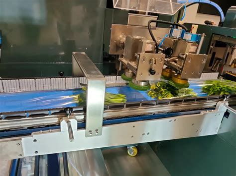 Image result for Inverted Flow Wrapper