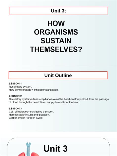 Image result for 9th Class Lessons