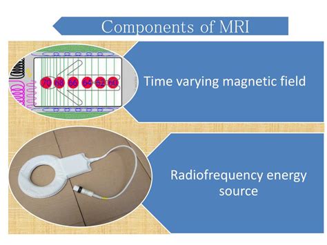 Image result for Components of MRI