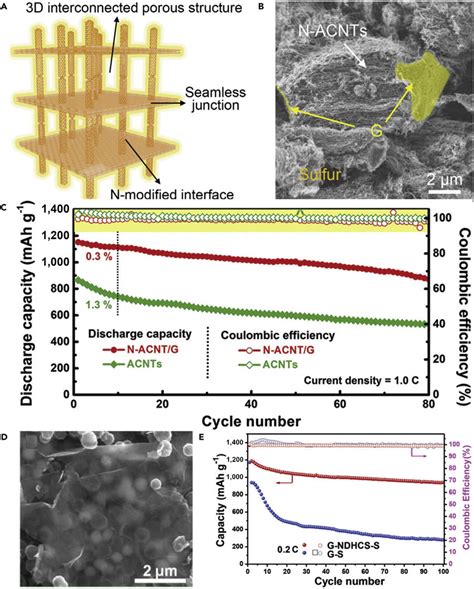 Image result for Morphological Synthesis Example