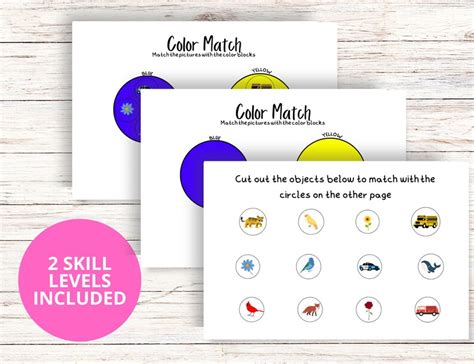 Image result for Color Sorting Activity