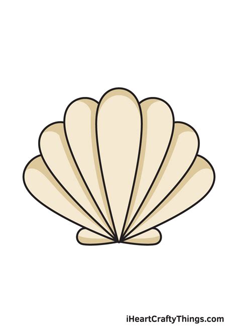 Image result for Seashell Shape Drawing Basic