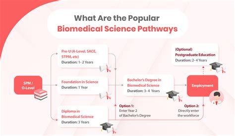 Image result for Biomedical Science Modules