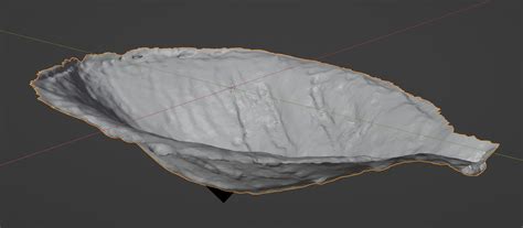 Image result for Mesh Shellify