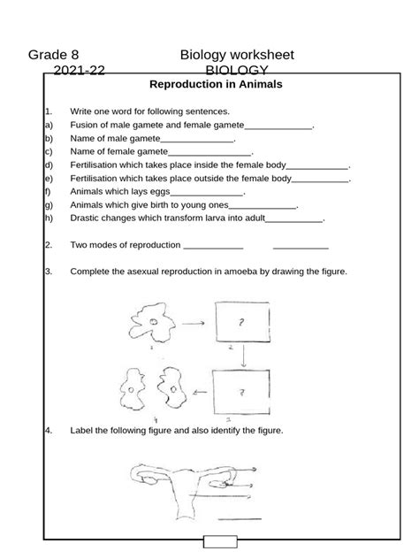 Image result for Reproduction in Animals Science Class 8 Worksheet