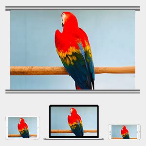 Image result for Akaso Smart Mini Projector