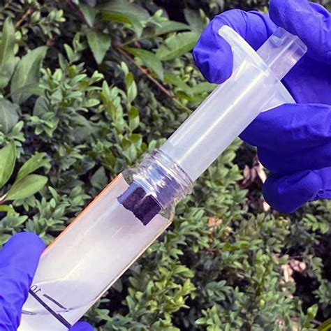 Image result for En Core Sampler