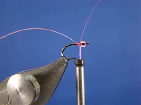 Image result for Segmented Perdigon