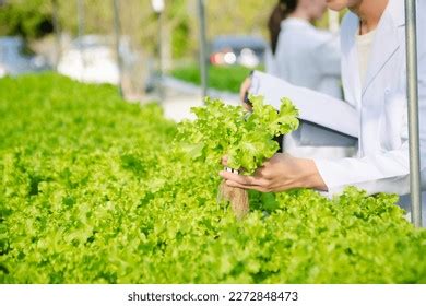 Image result for Lumen Learning pH Level