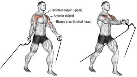 Image result for Fly Over Cables