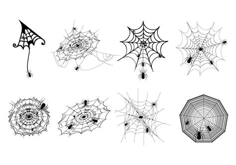 Image result for Spider Web Vector