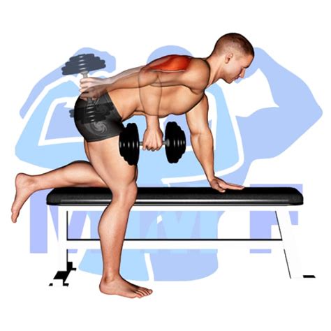 Image result for Tricep Kickbacks Form