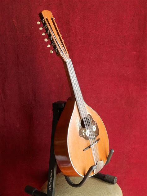 Image result for 12 String Mandolin