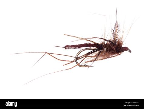 Image result for Making Dry-Fly Tails