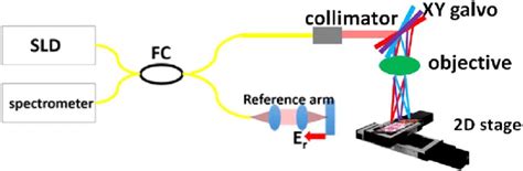 Image result for How Oct Works