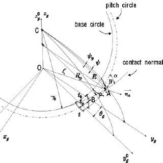 Image result for Spherical Involute