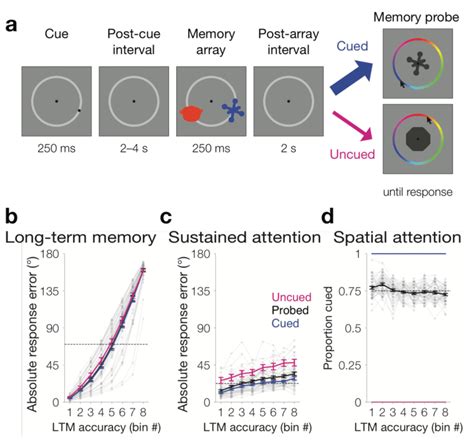Image result for Research Paper Example On If Color Affects Memory