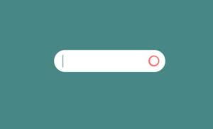 Image result for Text Input Transparent CSS