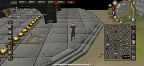 Image result for OSRS Set Up