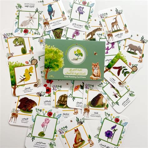 Image result for Large Memory Matching Cards