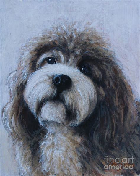 Image result for Cavapoo Art