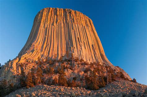 Image result for Is Devils Tower a Tree