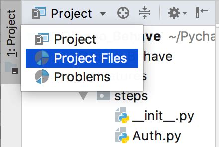 Image result for PyCharm Project Window