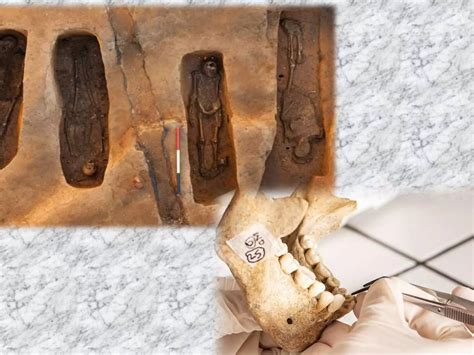 Image result for Forensic Profiling