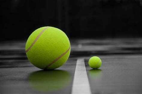 Image result for Proportion Design Principle