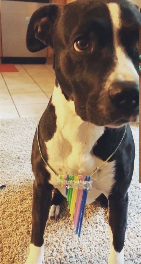 Image result for DIY Musical Instruments