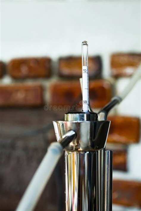 Image result for Wine Production Process