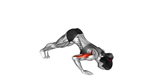 Image result for Pike Push-Up Exercise