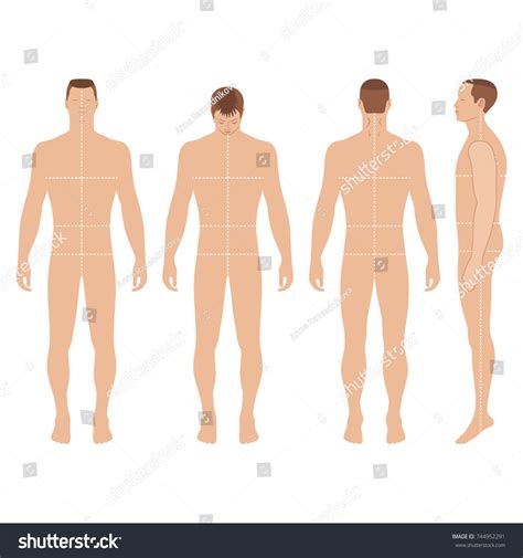 Image result for Front Back Side View Human