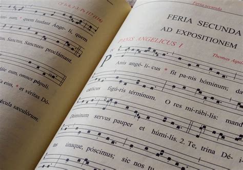 Image result for Java Con Dios Musik