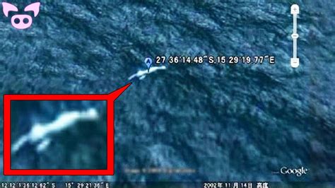 Image result for Slapped Ham Cryptids