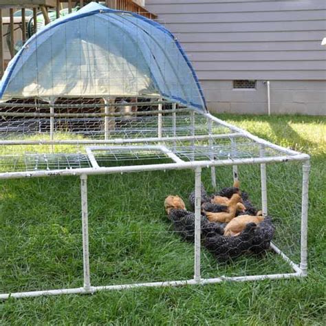 Image result for PVC Pipe Chicken Run