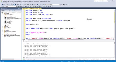 Image result for SQL Lectuers with Mouse