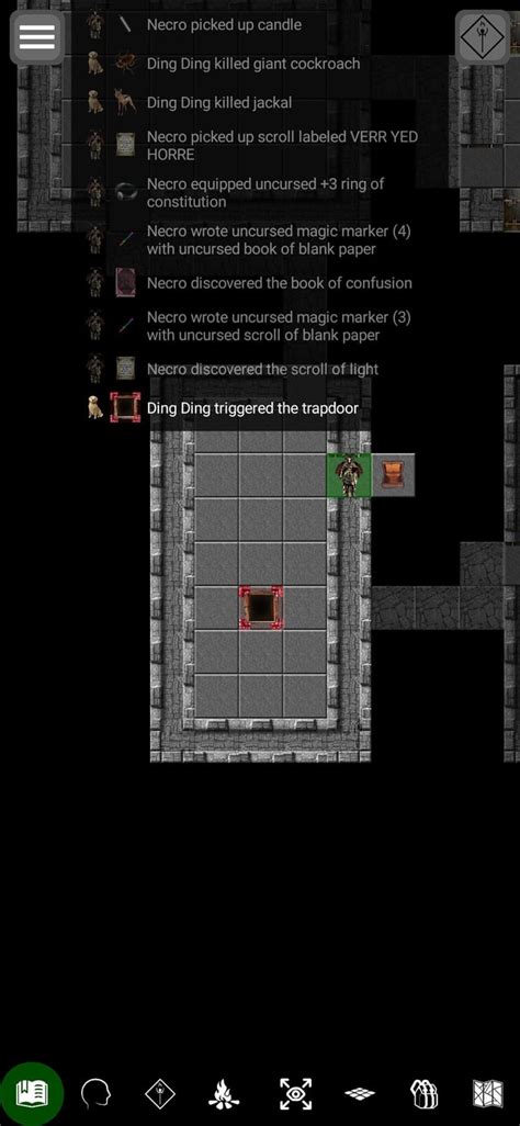 Image result for Pathos NetHack Codex