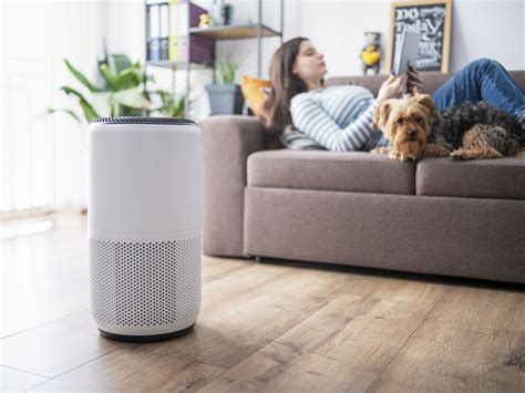 Image result for How Does a Purifier Work