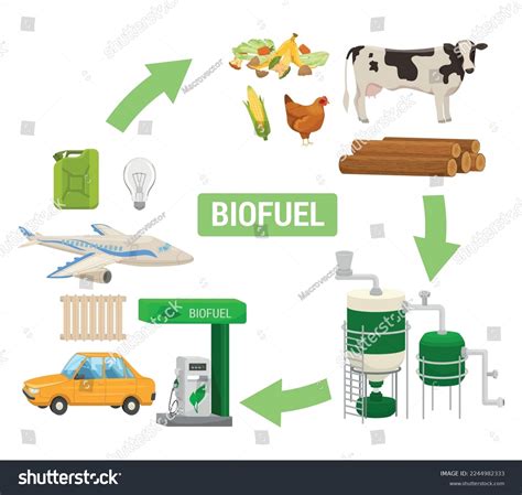 Image result for Biofuel Production Process